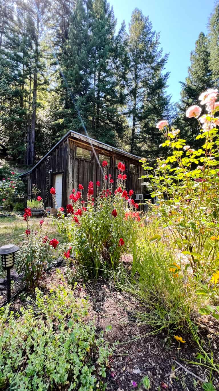 The Best Gardening Ideas for Side of House | 136 home